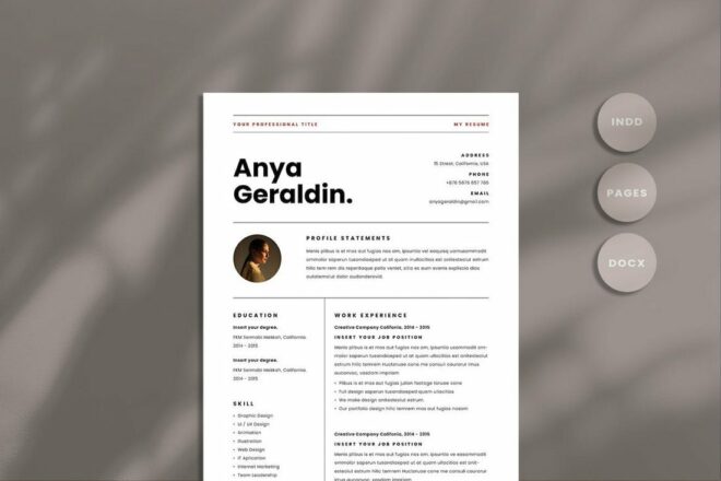 60+ Best InDesign Resume Templates (+ Free CV Templates) 2024 - Theme ...