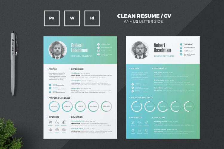 50+ Best CV & Resume Templates 2025 - Theme Junkie