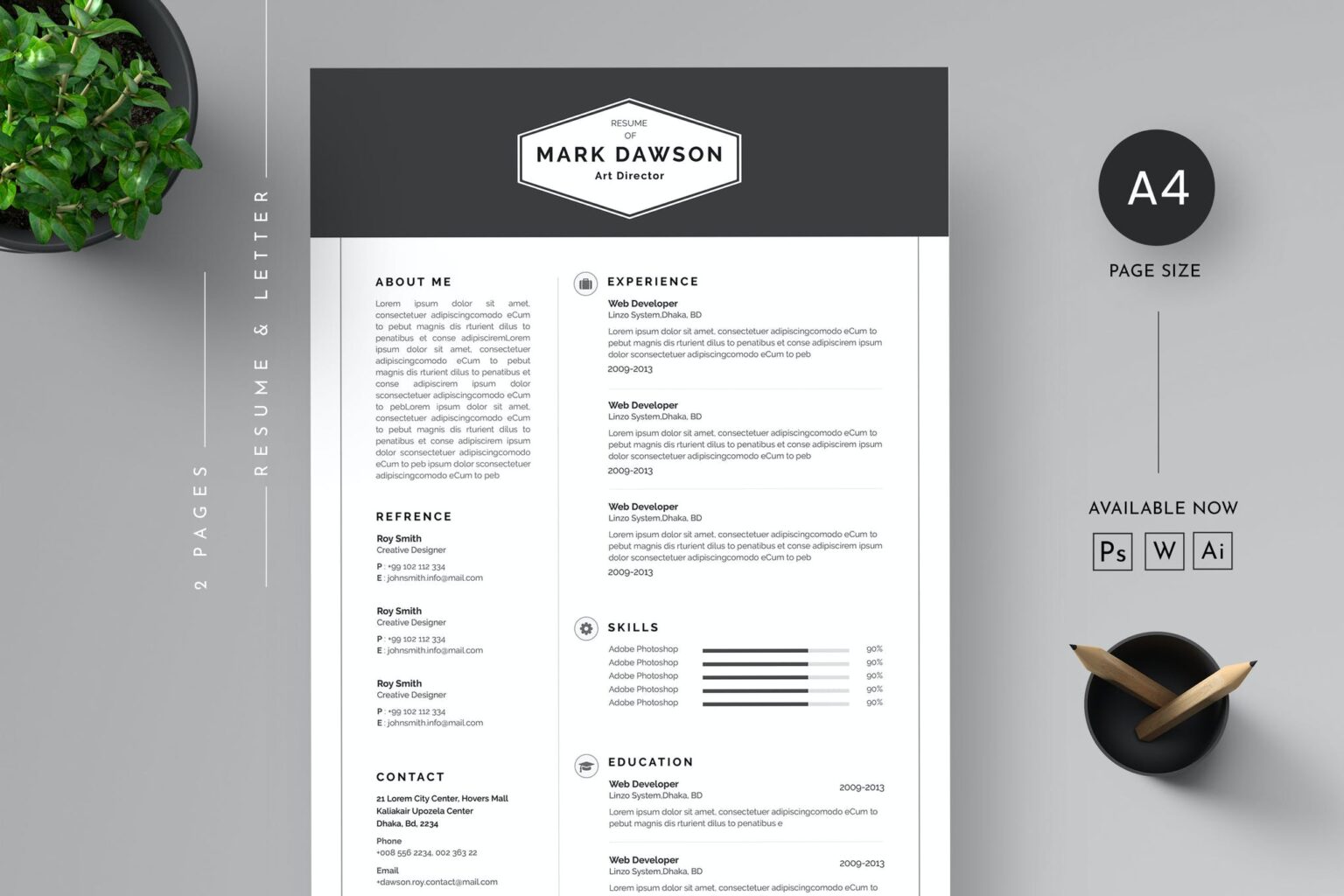 35+ Best CV & Resume Templates 2021 - Theme Junkie