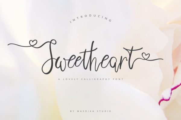 45+ Best Wedding Script & Calligraphy Fonts 2025 - Theme Junkie