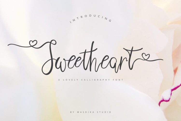 45+ Best Wedding Script & Calligraphy Fonts 2025 - Theme Junkie