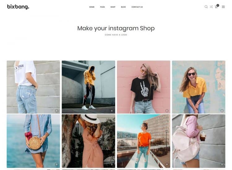 55+ Best Instagram WordPress Themes & Plugins 2025 (Free & Pro) - Theme ...