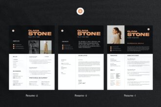 60+ Best InDesign Resume Templates (+ Free CV Templates) 2025 - Theme ...