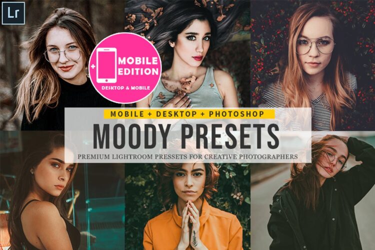 45+ Best Moody Lightroom Presets (+ Free Dark & Moody Presets) 2025 - Theme Junkie