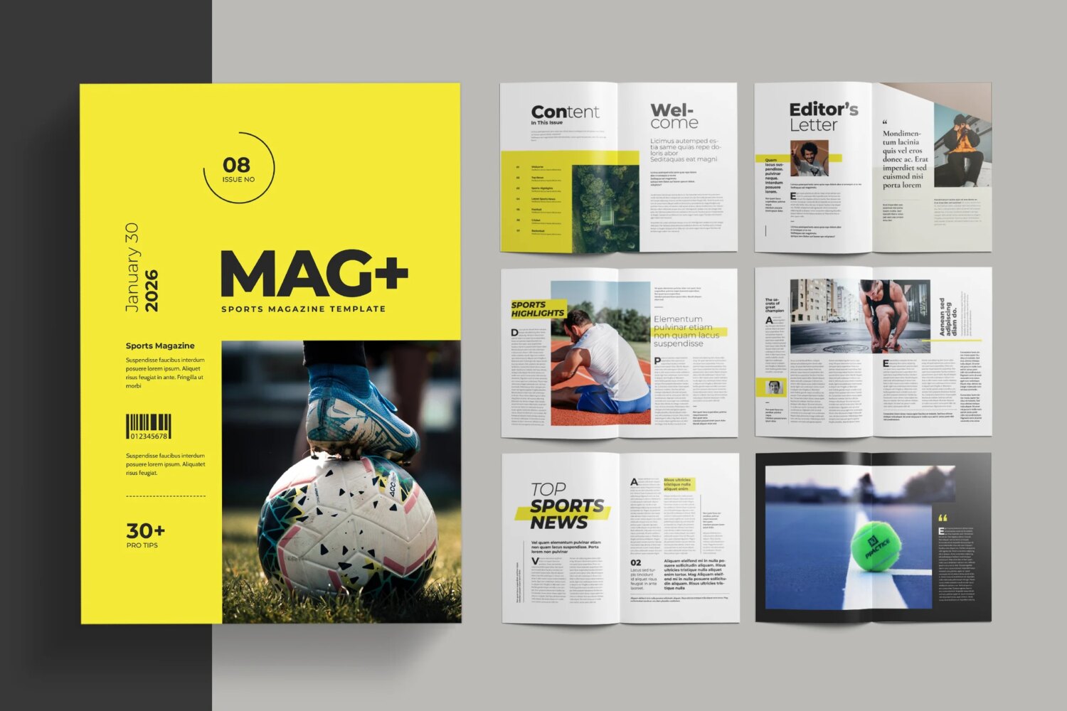 60+ InDesign Brochure Templates (Free Layouts for 2025) - Theme Junkie