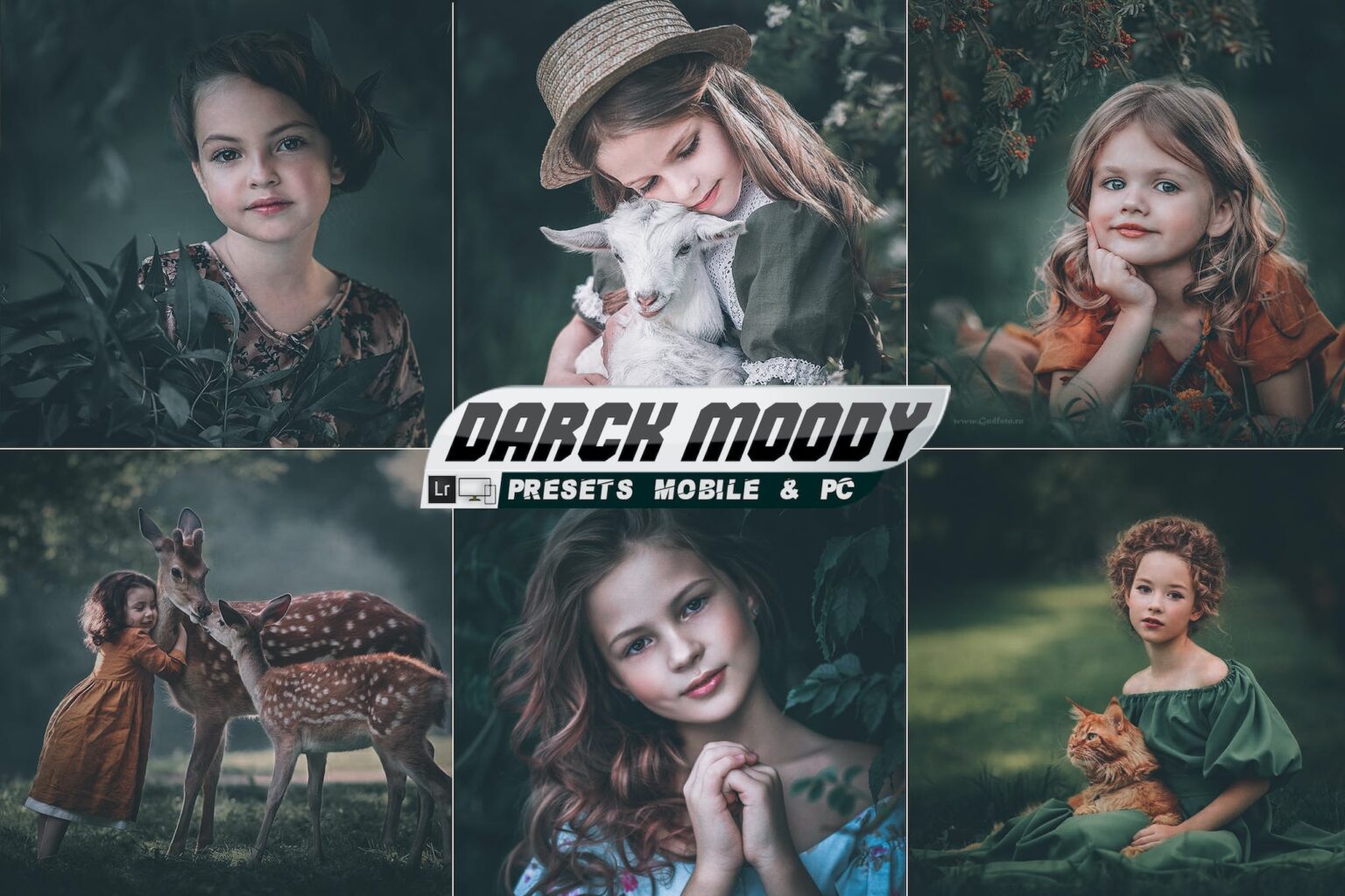 45+ Best Moody Lightroom Presets (+ Free Dark & Moody Presets) 2025 - Theme Junkie