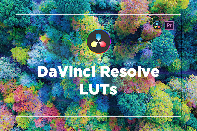 Davinci resolve luts - tasteontheweb