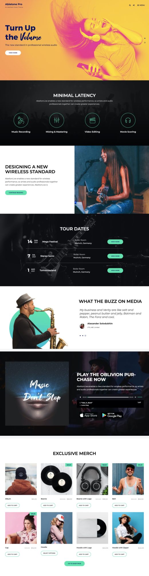 65+ Best DJ WordPress Themes 2023 (Free & Premium) - Theme Junkie