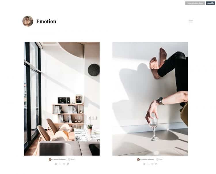 30+ Best Tumblr Portfolio Themes 2024 - Theme Junkie