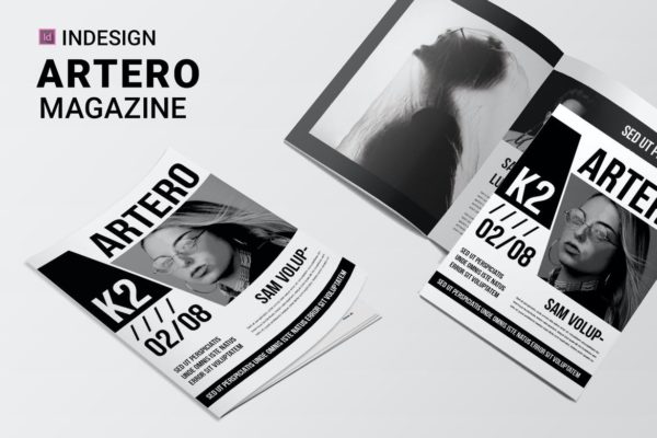 35+ Best InDesign Magazine Templates (For Mag Projects in 2025) - Theme ...