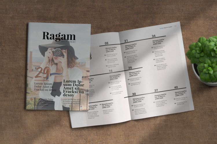 35+ Best InDesign Magazine Templates (For Mag Projects in 2025) - Theme ...