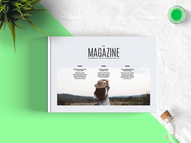 25+ Template Majalah InDesign Terbaik (Untuk Proyek Mag tahun 2024 ...