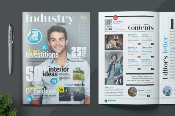35+ Best InDesign Magazine Templates (For Mag Projects in 2025) - Theme ...