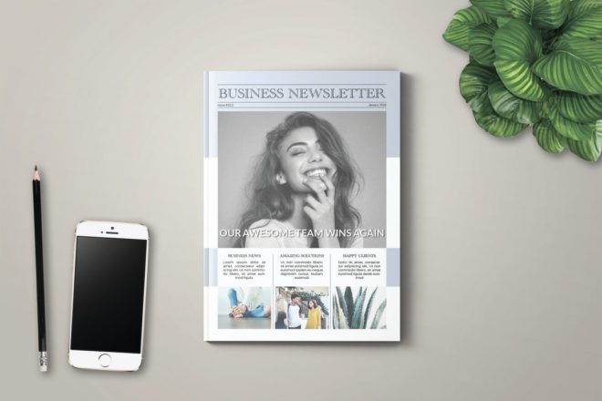 45+ Best InDesign Newsletter Templates (Free & Pro) 2024 - Theme Junkie