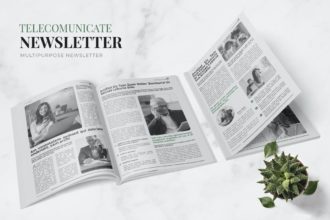 45+ Best InDesign Newsletter Templates (Free & Pro) 2024 - Theme Junkie