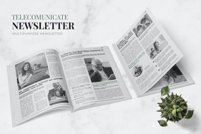 45+ Best InDesign Newsletter Templates (Free & Pro) 2024 - Theme Junkie