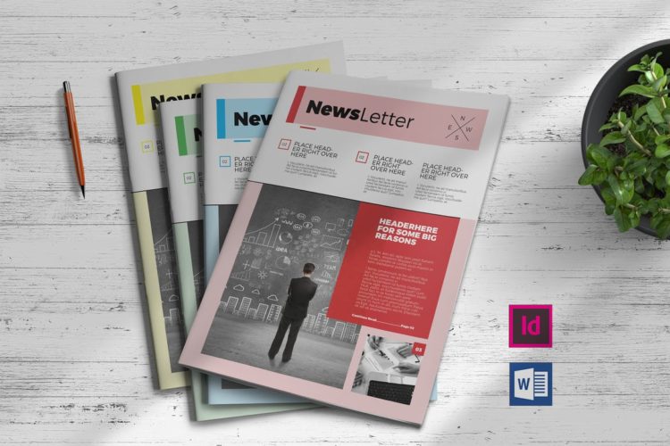 45+ Best InDesign Newsletter Templates (Free & Pro) 2024 - Theme Junkie