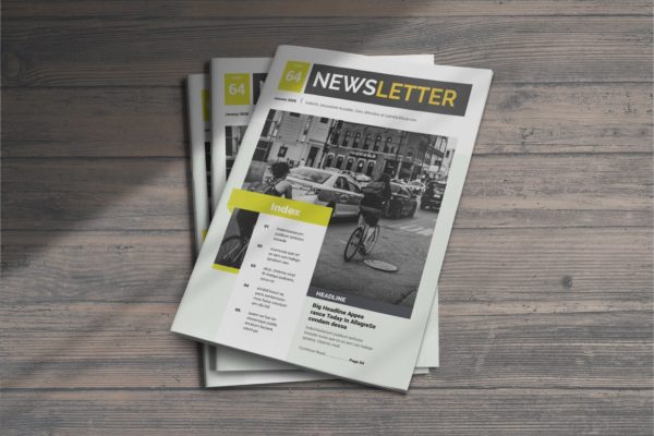 40+ Best InDesign Newsletter Templates (Free & Pro) 2024 - Theme Junkie