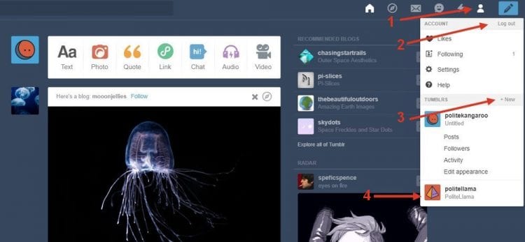How to Logout of Tumblr (Desktop & Mobile) - Theme Junkie