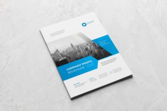 38+ InDesign Brochure Templates (Free Layouts for 2023) - Theme Junkie