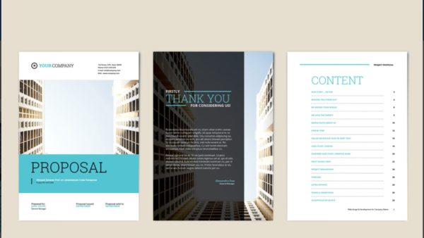 25+ Best Startup Investment Proposal Templates 2021 - Theme Junkie