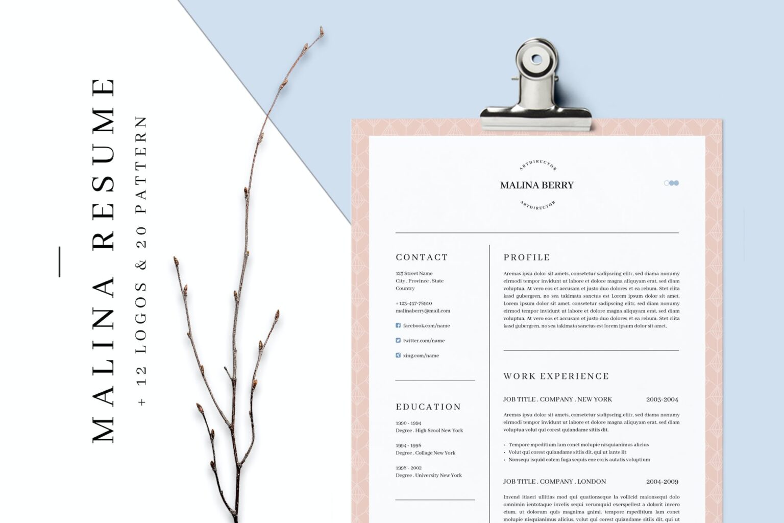 50+ Best Photoshop Resume Templates (PSD) With Modern Designs - Theme ...