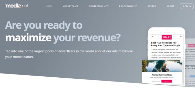 How To Monetize A WordPress Blog: 6 Best Ways & Ad Networks - Theme Junkie