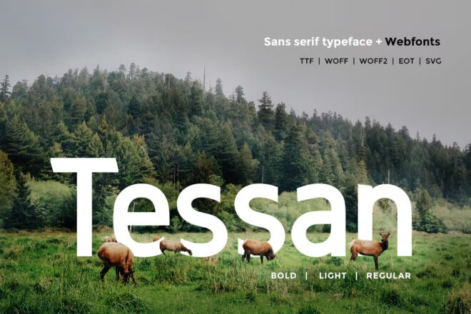 30+ Best Minimalist Fonts (Modern, Minimal Font Ideas) 2025 - Theme Junkie