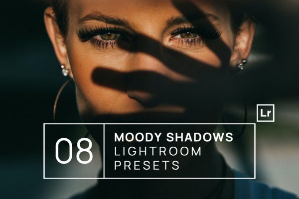 45+ Best Moody Lightroom Presets (+ Free Dark & Moody Presets) 2025 - Theme Junkie