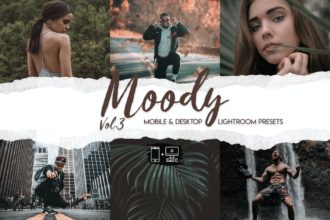 45+ Best Moody Lightroom Presets (+ Free Dark & Moody Presets) 2025 - Theme Junkie