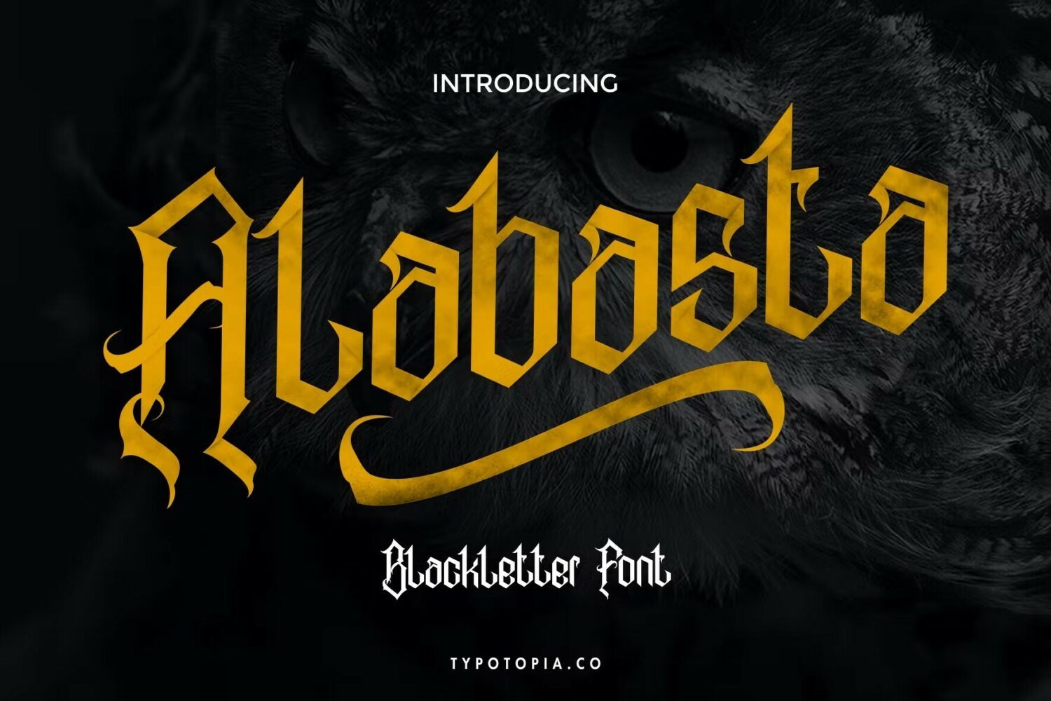 20+ Classic “Old English” Traditional Fonts with Vintage Designs ...