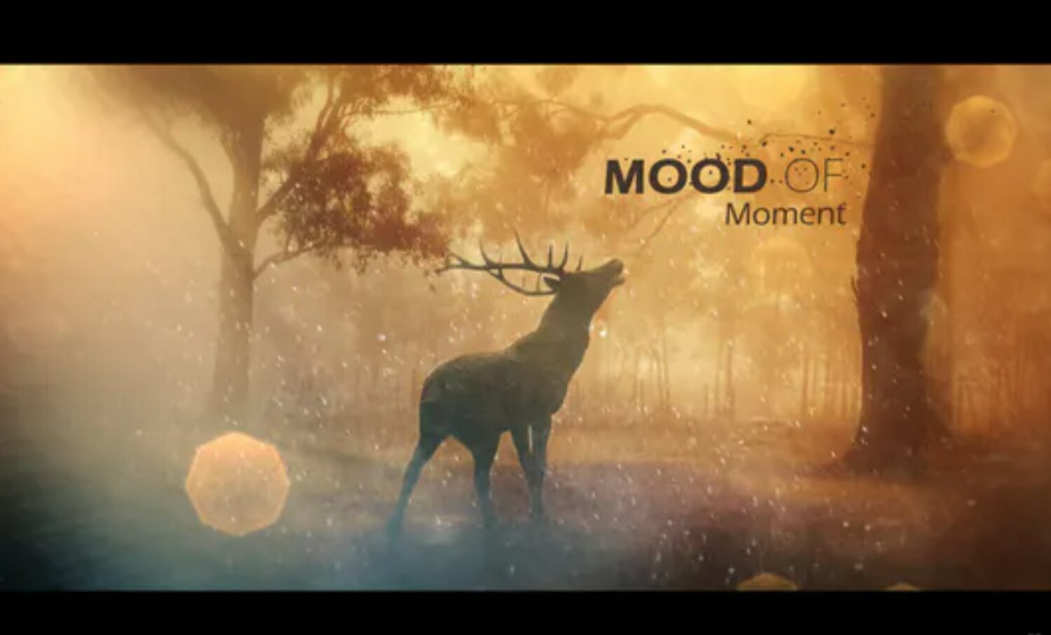 35+ Best After Effects Parallax Photo Effects & Parallax Animation ... 35+ Best After Effects Parallax Photo Effects & Parallax Animation ...