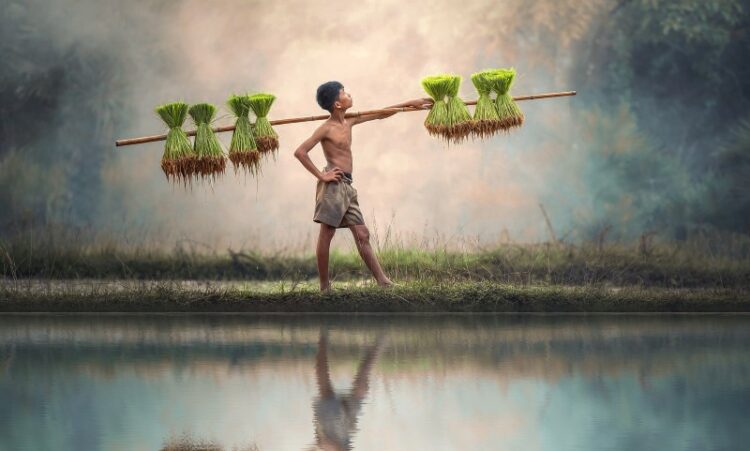 20+ Efek Riak Photoshop Terbaik (Membuat Riak Air di Photoshop ...