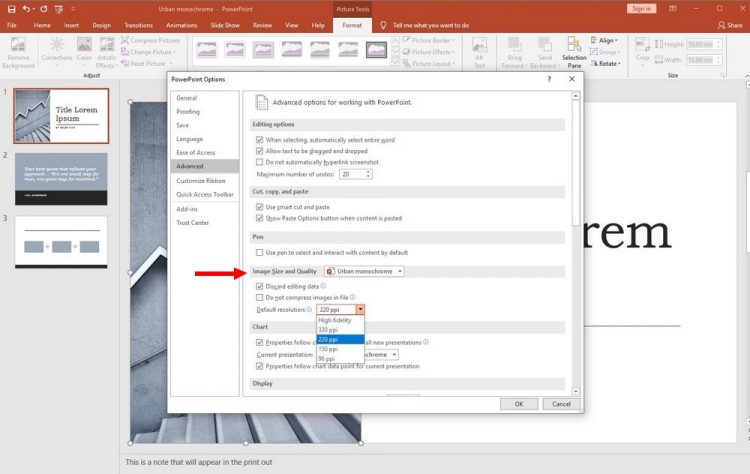 PowerPoint: Ultimate Guide for 2025 - Theme Junkie
