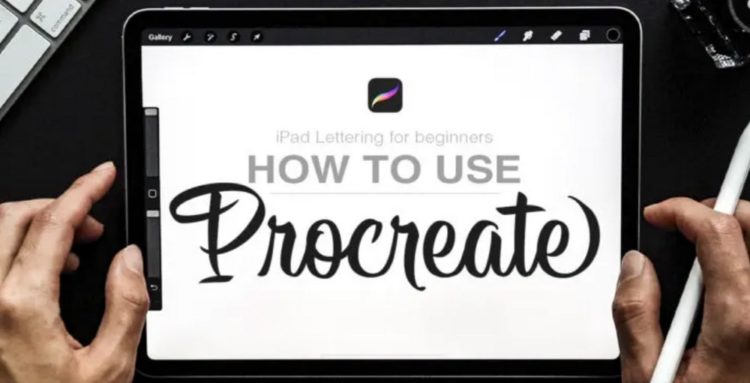 How to Use Procreate for iPad (The Ultimate Guide) - Theme Junkie