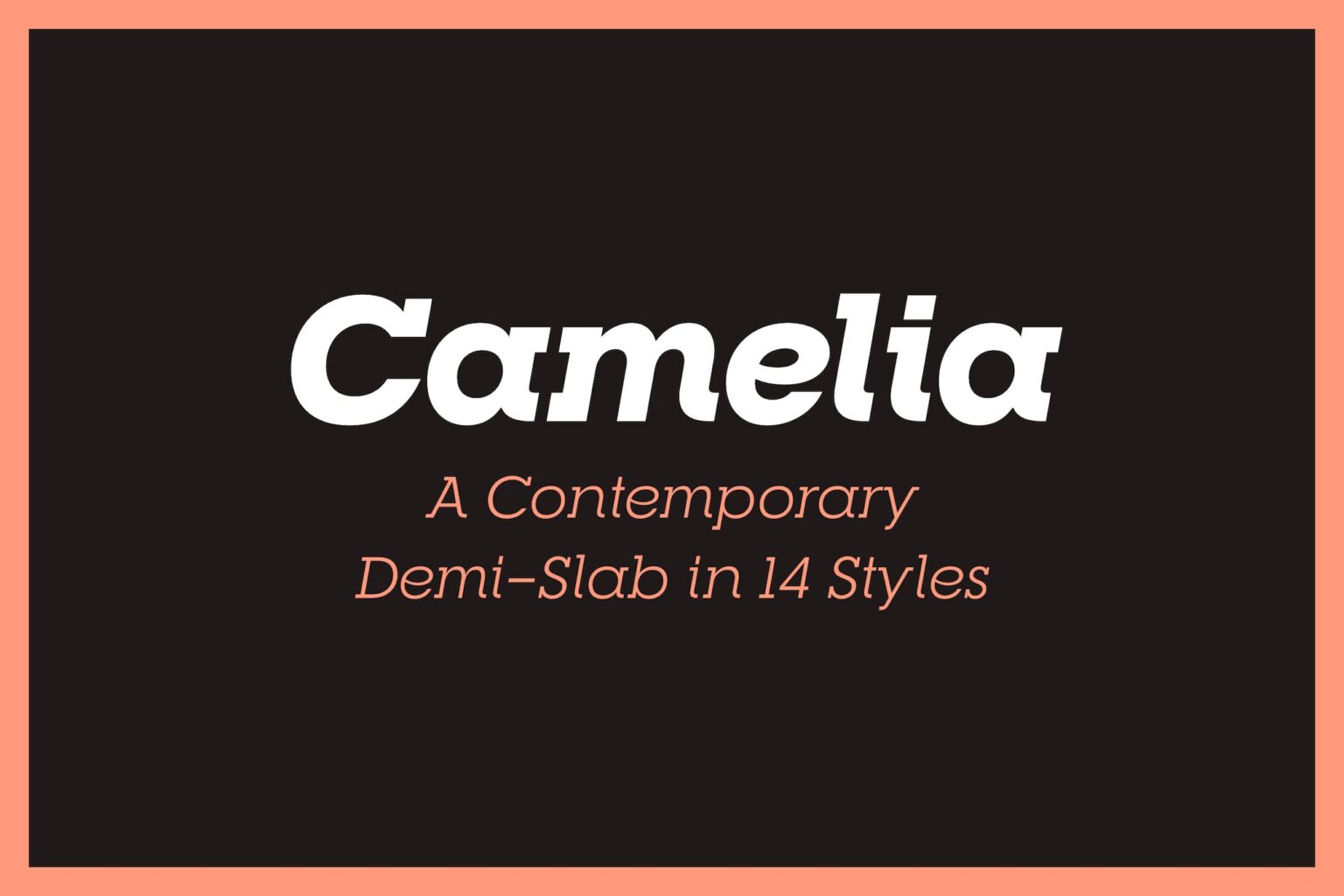 25+ Best Fonts for Captivating Presentations - Theme Junkie