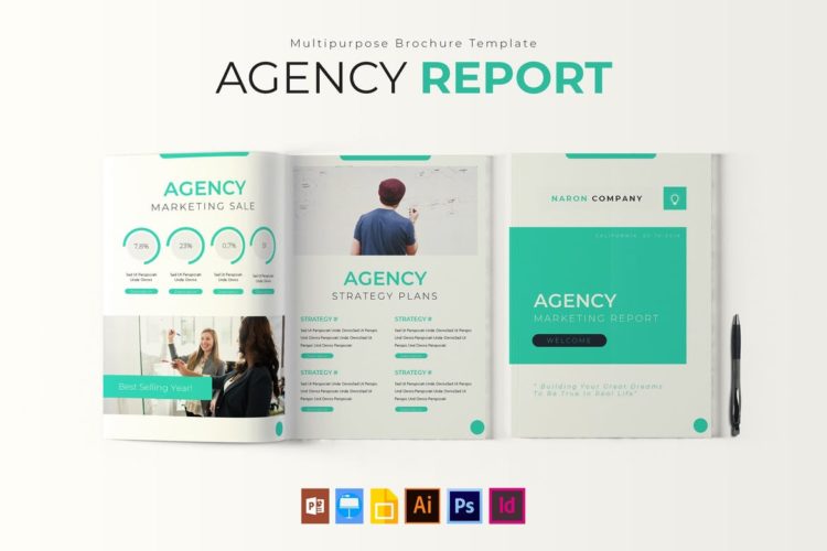 25+ Best Business Project (+ Sales) Report Templates 2025 - Theme Junkie