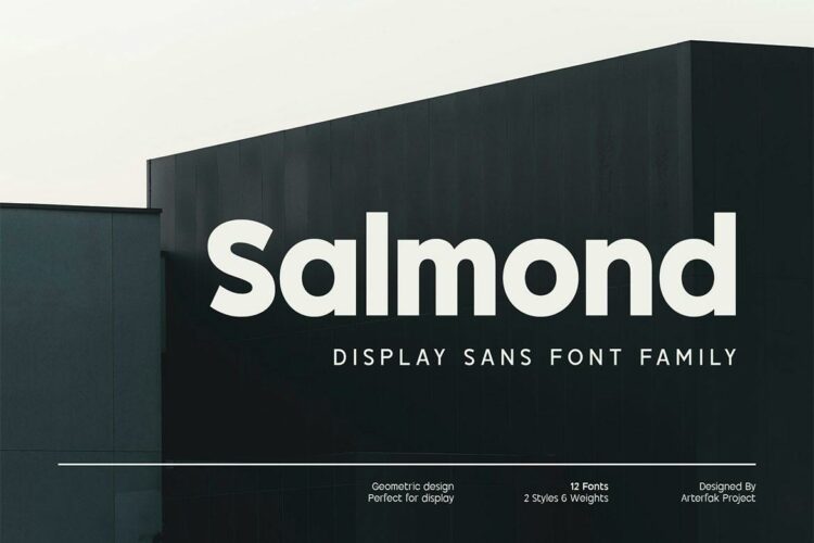 25+ Best Fonts for Captivating Presentations - Theme Junkie