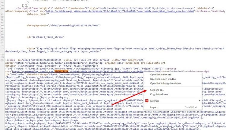 How to Save Tumblr Videos: 3 Easy Options - Theme Junkie