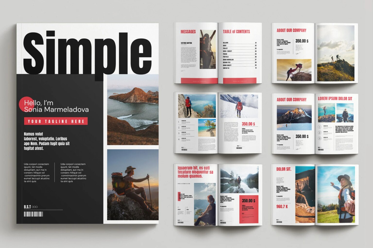 60+ InDesign Brochure Templates (Free Layouts for 2025) - Theme Junkie