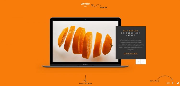 40+ Best Slider Revolution WordPress Themes & Templates 2024 (Free ...