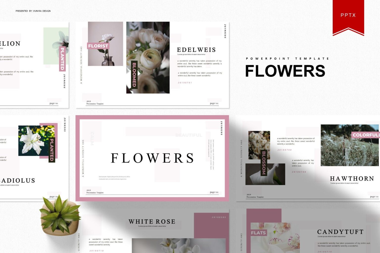 35+ Best Spring & Summer PowerPoint Templates 2025 - Theme Junkie