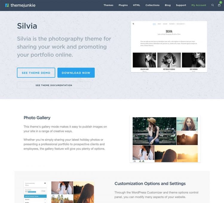 Introducing the All-New Theme Junkie - Theme Junkie