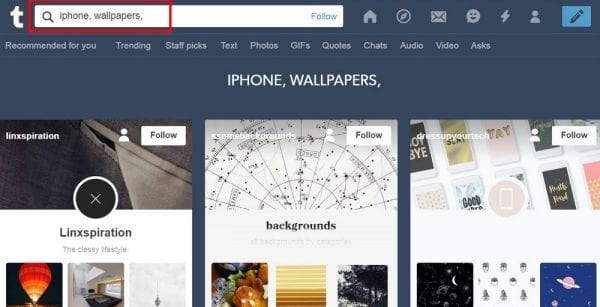 How to Search Multiple Tags on Tumblr - Theme Junkie