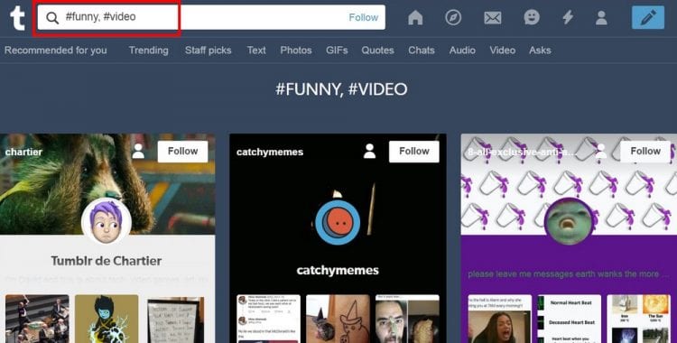 How to Search Multiple Tags on Tumblr - Theme Junkie