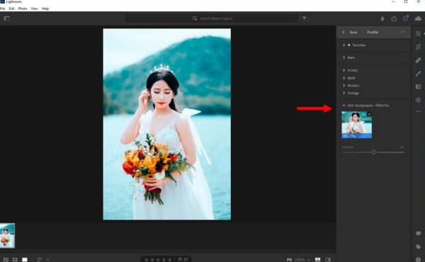 How to Use LUTs in Lightroom & Photoshop - Theme Junkie