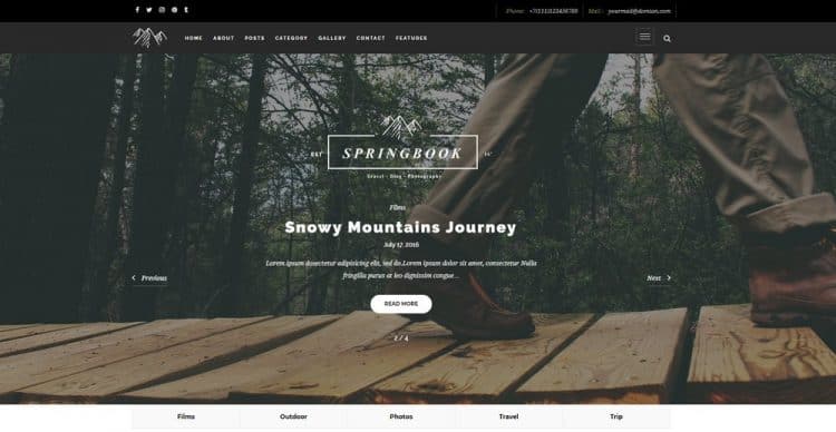 40+ Best Vintage WordPress Themes 2025 (Free & Pro) - Theme Junkie