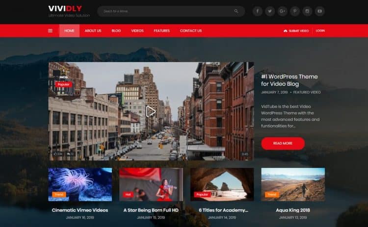 45+ Best YouTube & Video Gallery WordPress Themes 2025 (Free + Premium ...