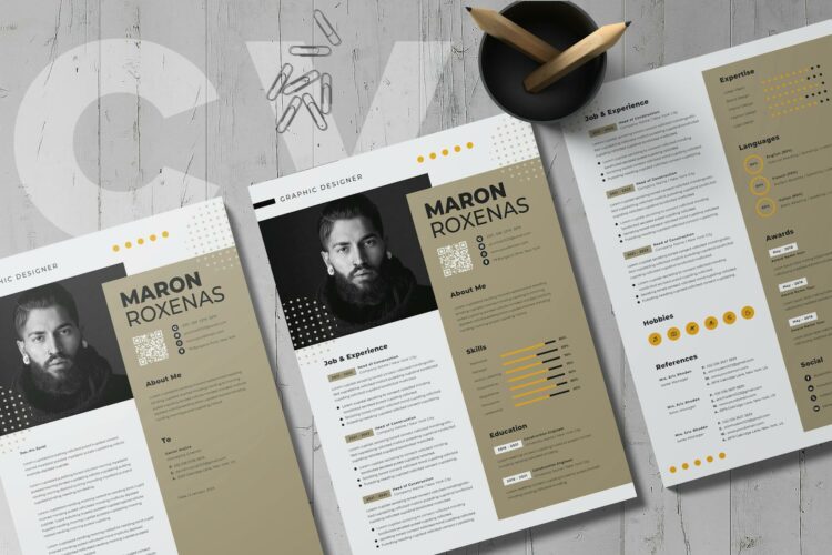 40+ Best Resume & CV Templates for Web and Graphic Designers - Theme Junkie