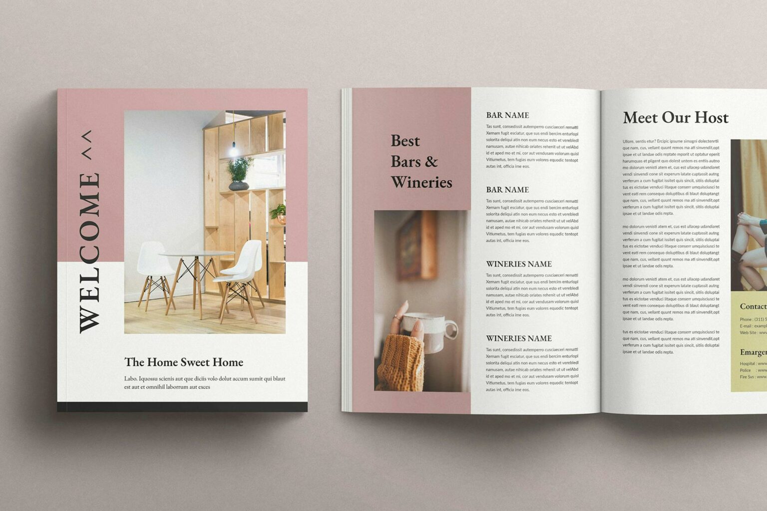 45+ Best InDesign Book Templates (Free Book Layouts) - Theme Junkie